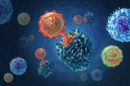 ECNU researchers develop a new generation of CAR-T technology for tumor ...